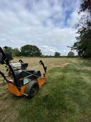 Lawn scarification service in Surrey & Sussex